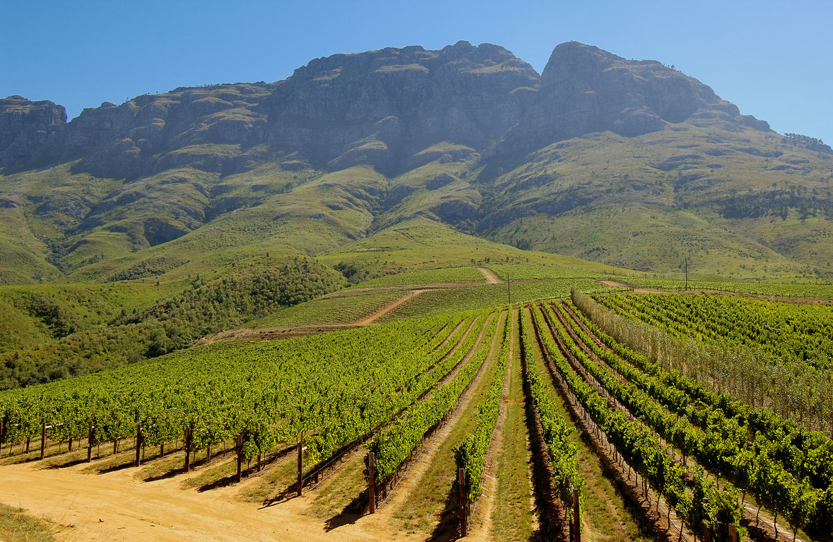 Tokara — Wine In The Warehouse