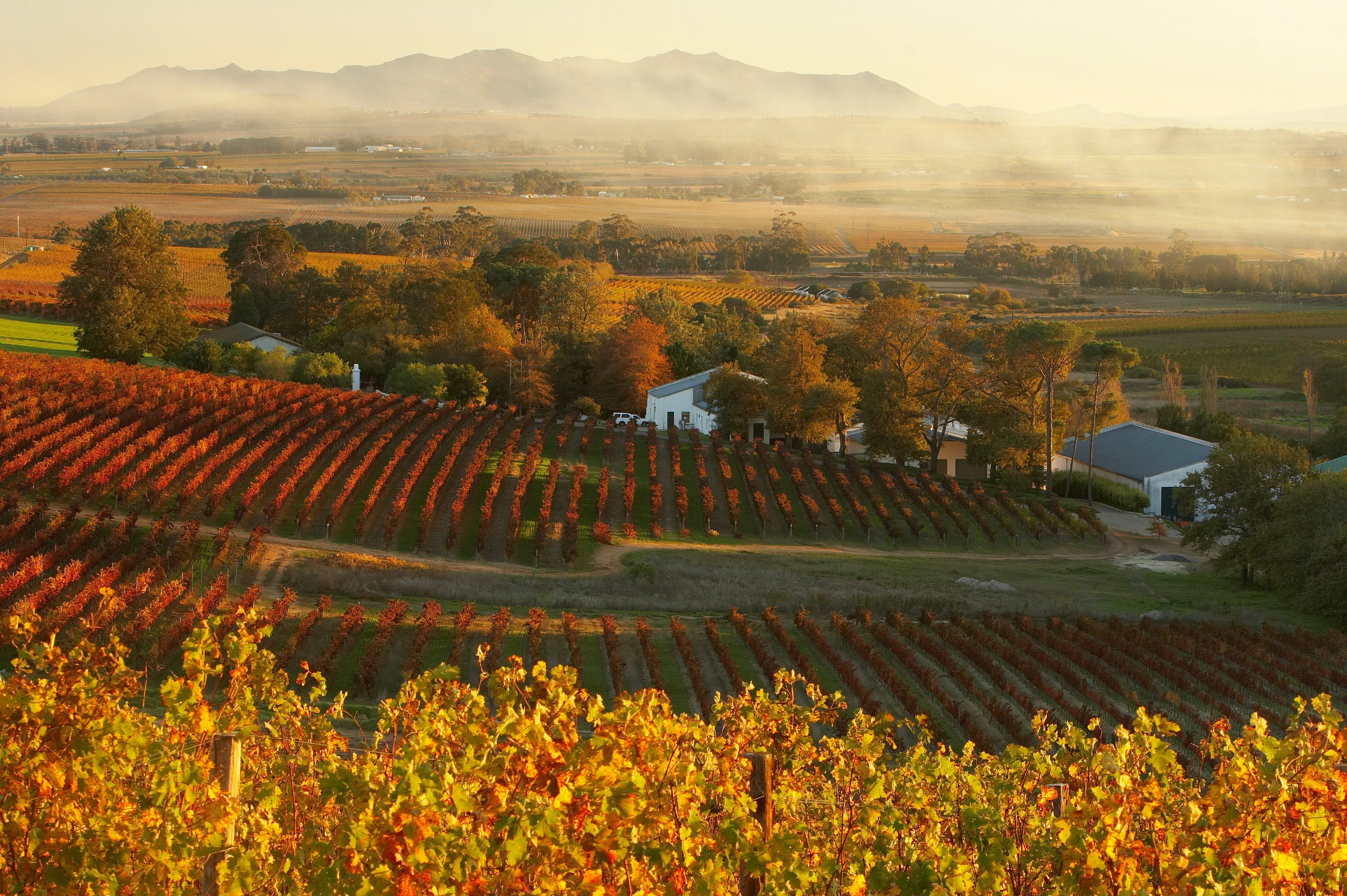 Hartenberg — Wine In The Warehouse