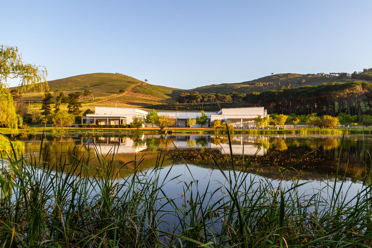 Morgenster — Wine In The Warehouse