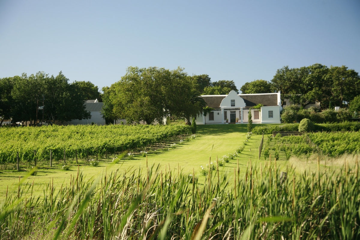 Vondeling — Wine In The Warehouse