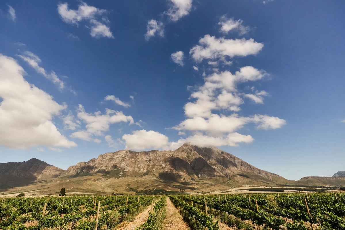 Krone Cap Classique — Wine In The Warehouse