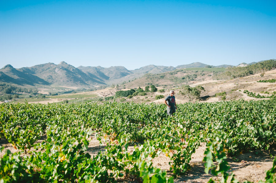 AA Badenhorst — Wine In The Warehouse