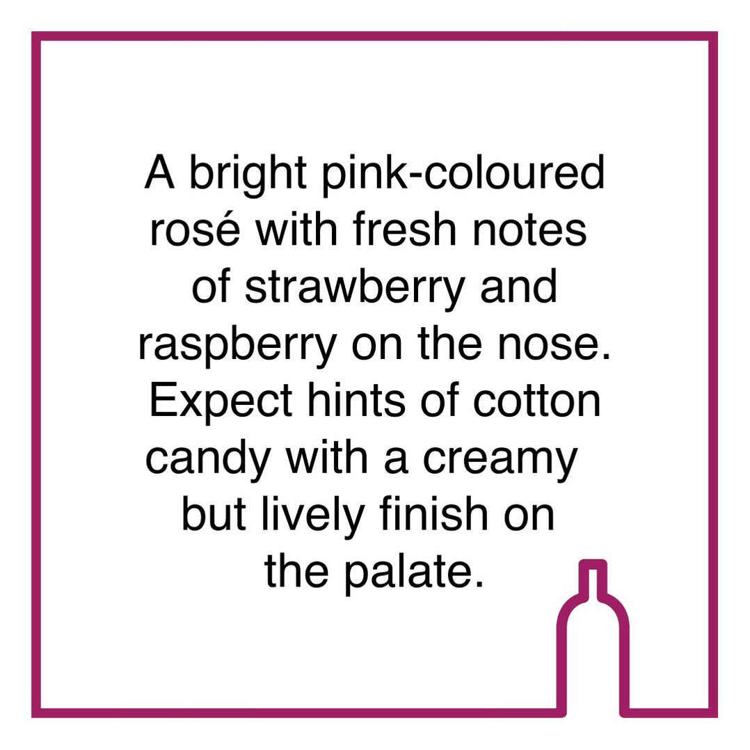 Case of Cederberg Sustainable Rose — Wine In The Warehouse